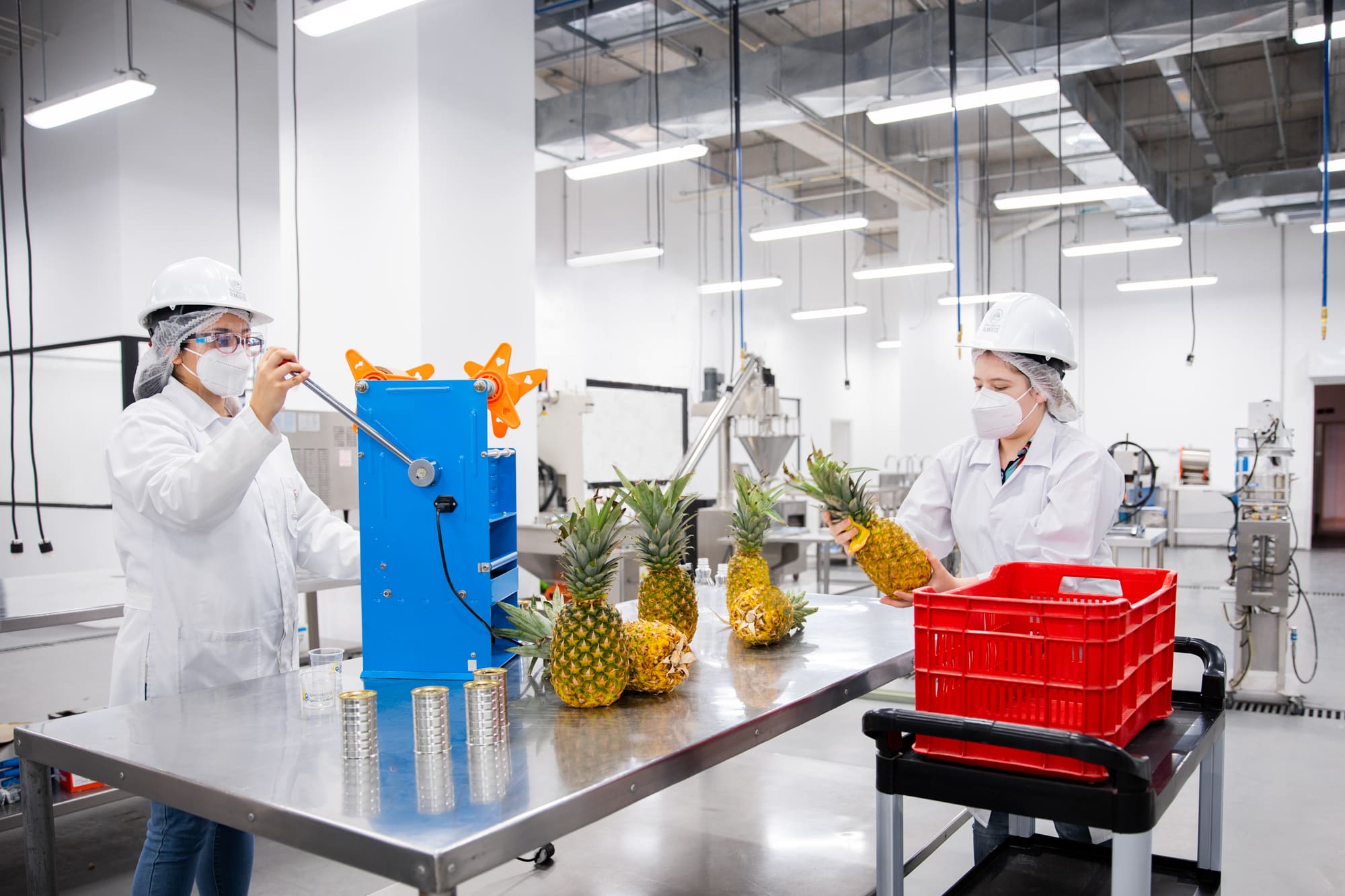 Copia-de-Proceso-de-Producto-17.1 | Agexport Hoy