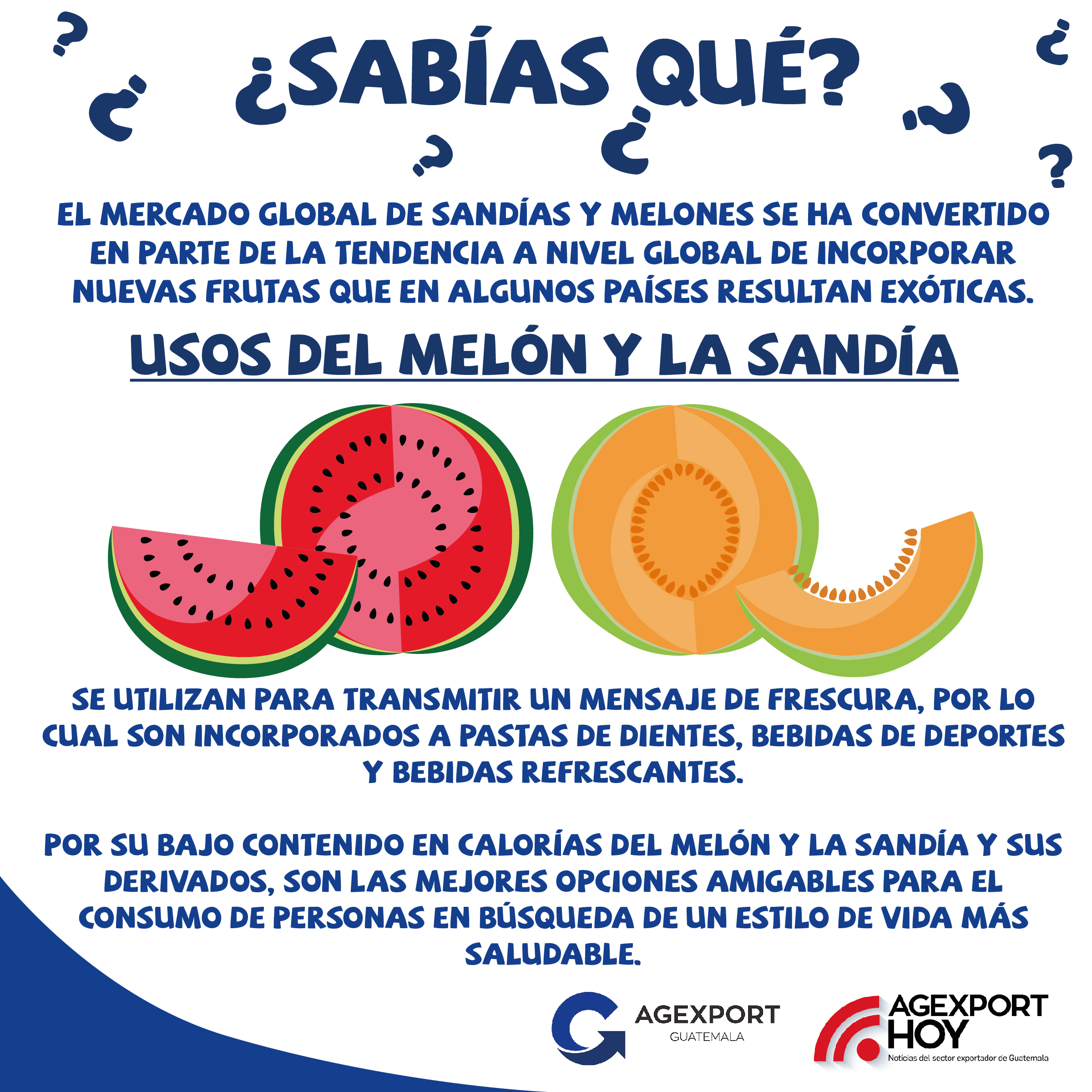 2-USOS-MELON-Y-SANDIA | Agexport Hoy