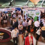 Destacadas Tendencias y Negocios