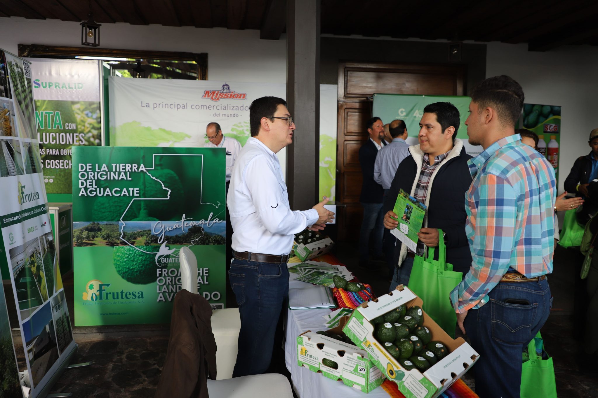 Nueva variedad de aguacate Booth 8 con potencial para conquistar ...