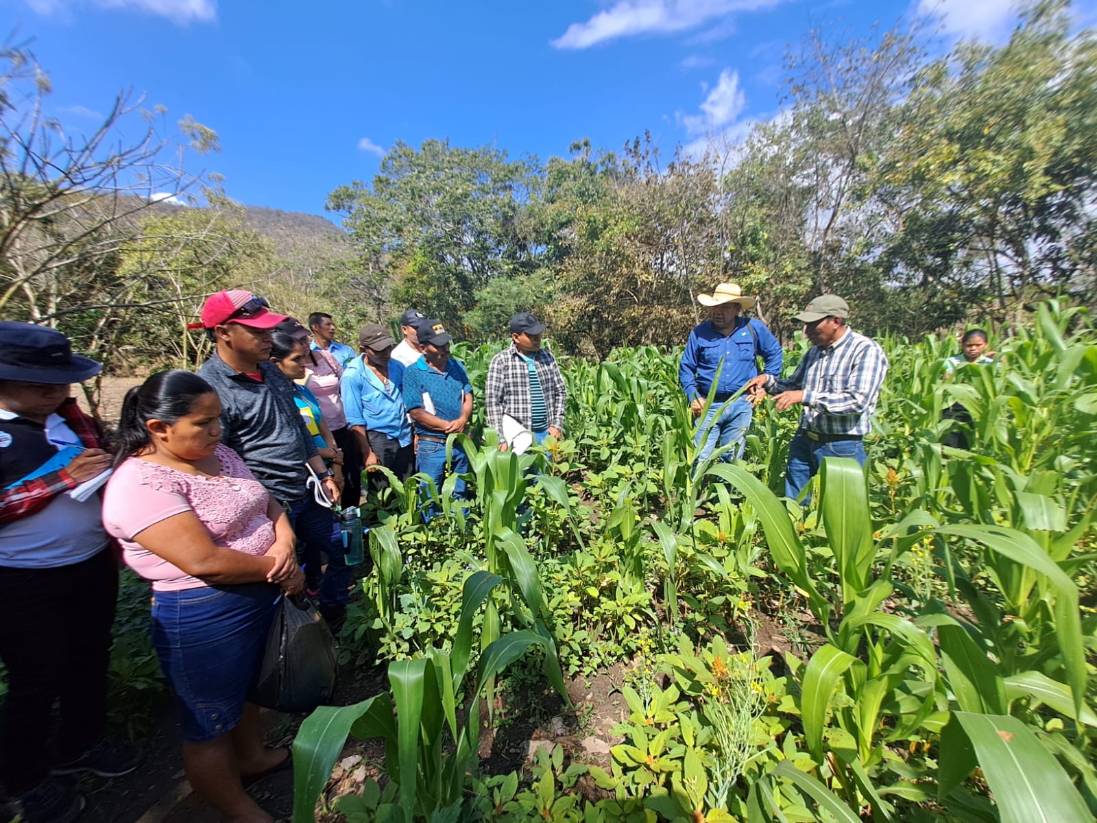 Foto-3 | Agexport Hoy