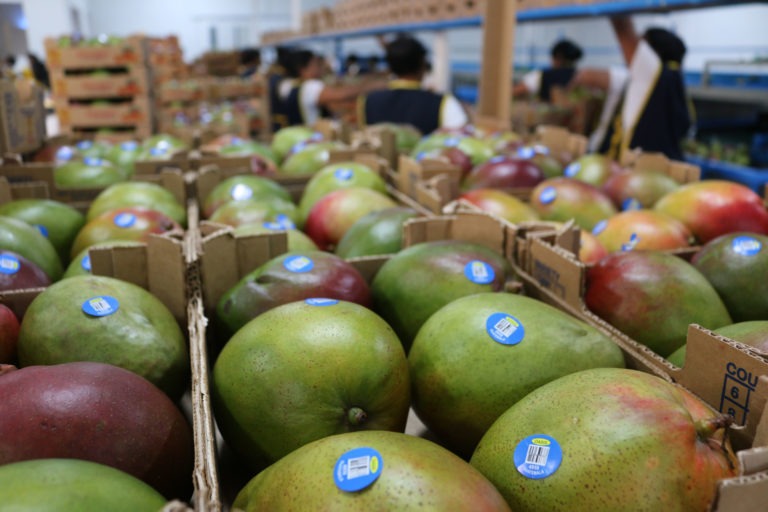 Guatemala espera incrementar sus exportaciones en un 5% para 2024