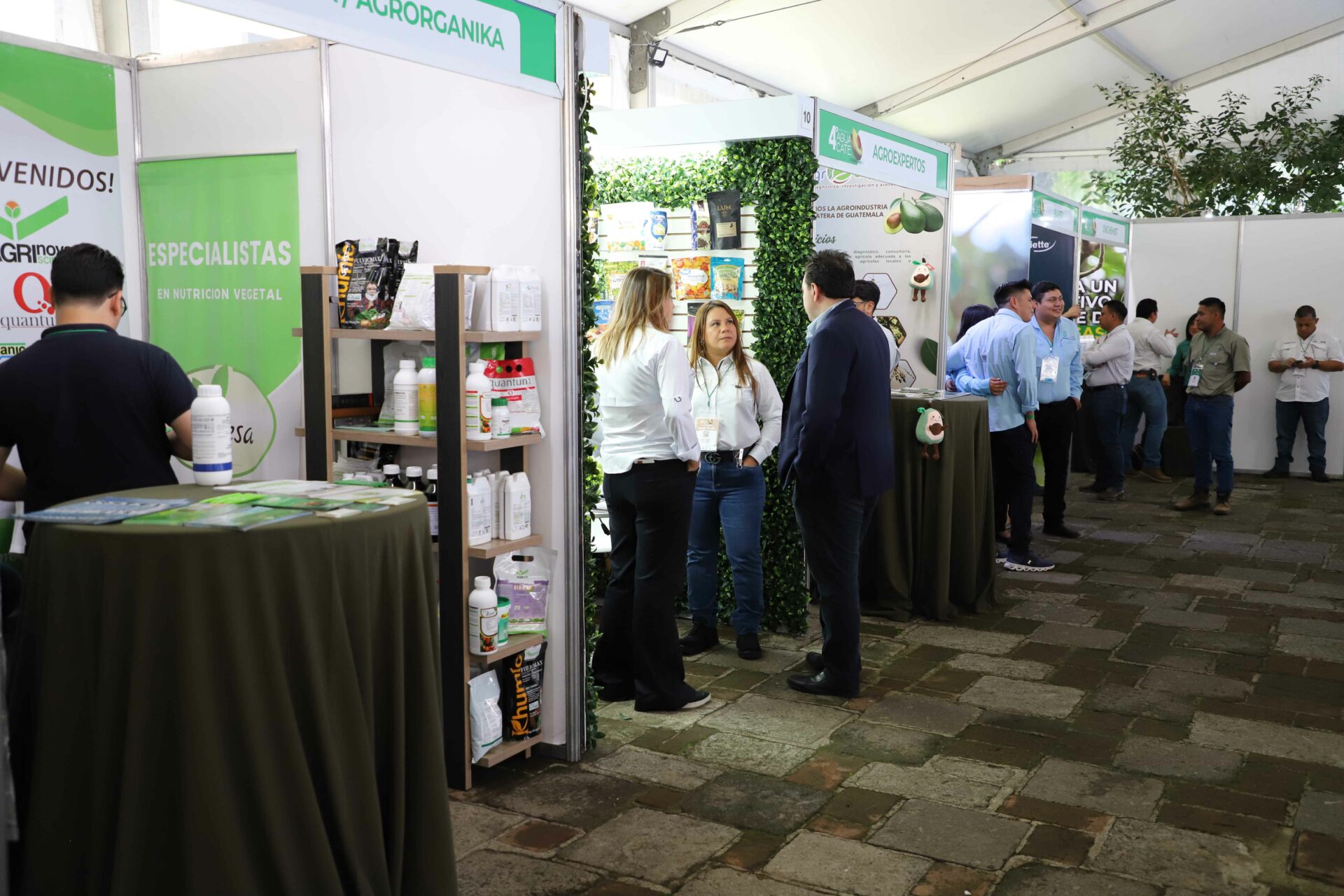 Agexport Hoy | Noticias del sector exportador de Guatemala